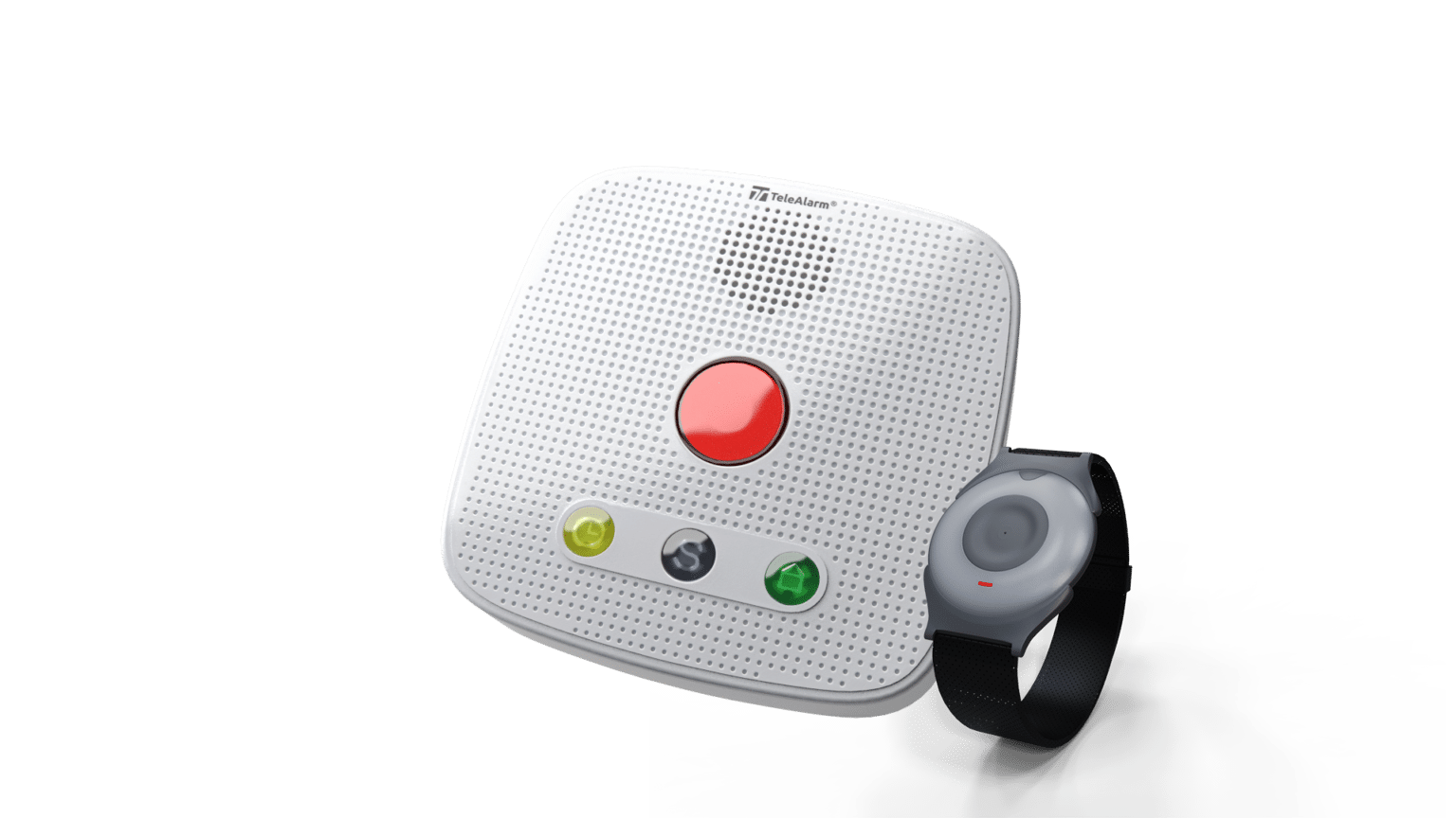 Home [www.telealarm.com]